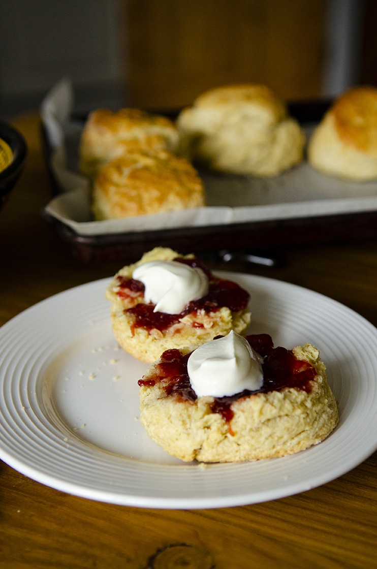 Lunchbox Mini Scones: Perfectly Portable Treats! - Little Lou Cooks